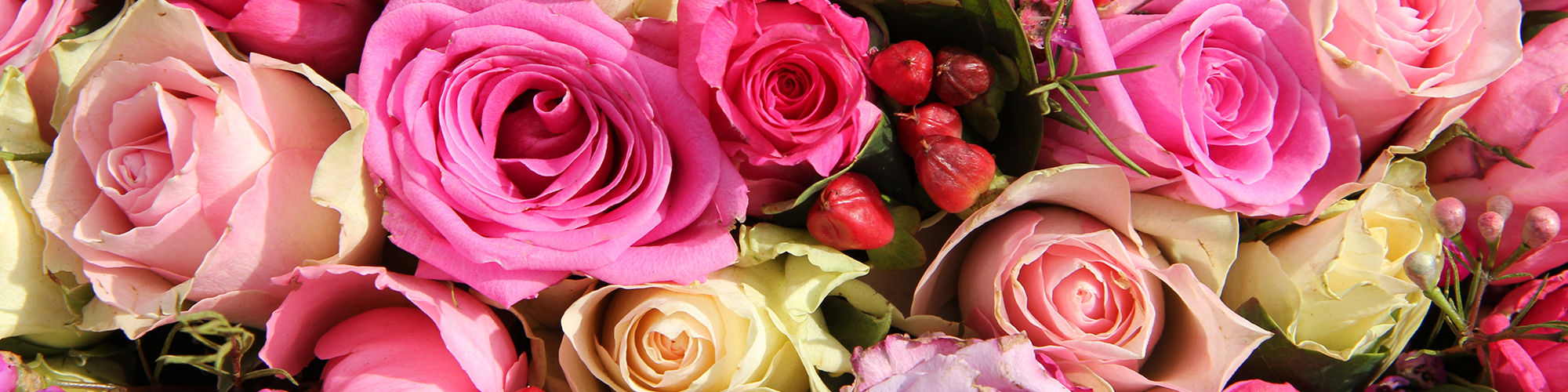 Florist of Lichfield - Order Online or 01543 252380